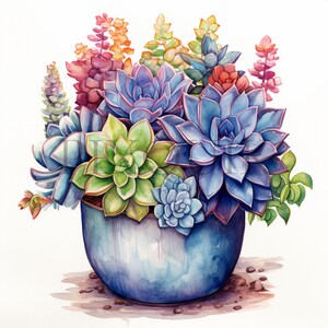 Succulents in Pot Clipart | 10 High Quality Jpg's | Digital Download ...
