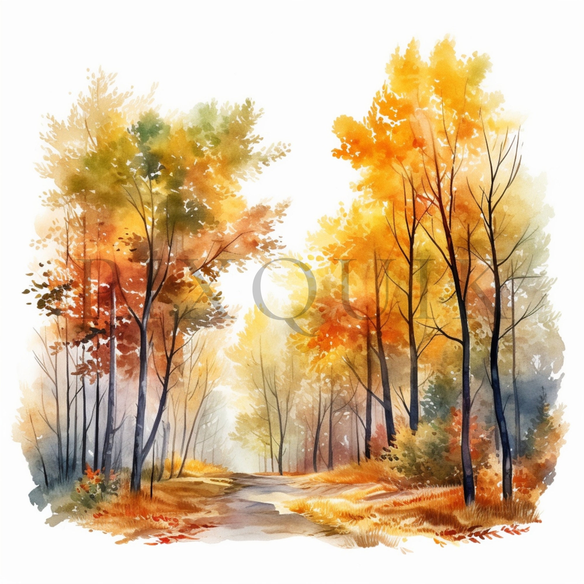 Autumn Forest Watercolor Clipart | Fall Nature Jpgs (digital Download ...