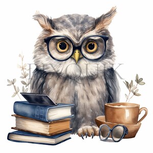 Watercolor Owl Clipart for Teachers | 10 Jpgs (digital Download) - Etsy