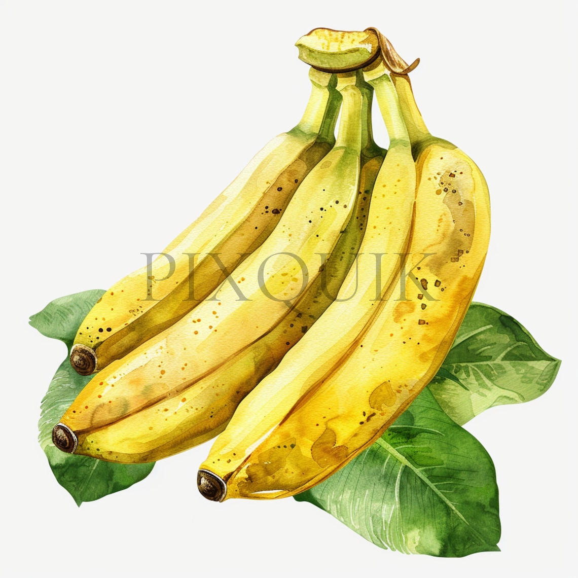 Watercolor Banana Clipart | Tropical Fruit Illustration (commercial Use ...