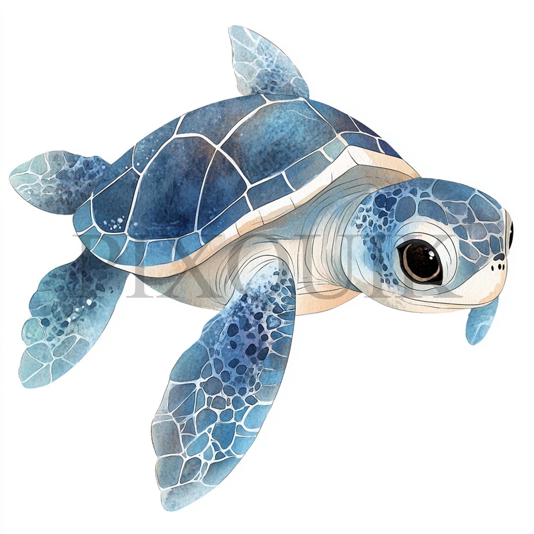Sea Turtle Clipart | 10 Jpg's and PNG Files | Card Making | Digital ...