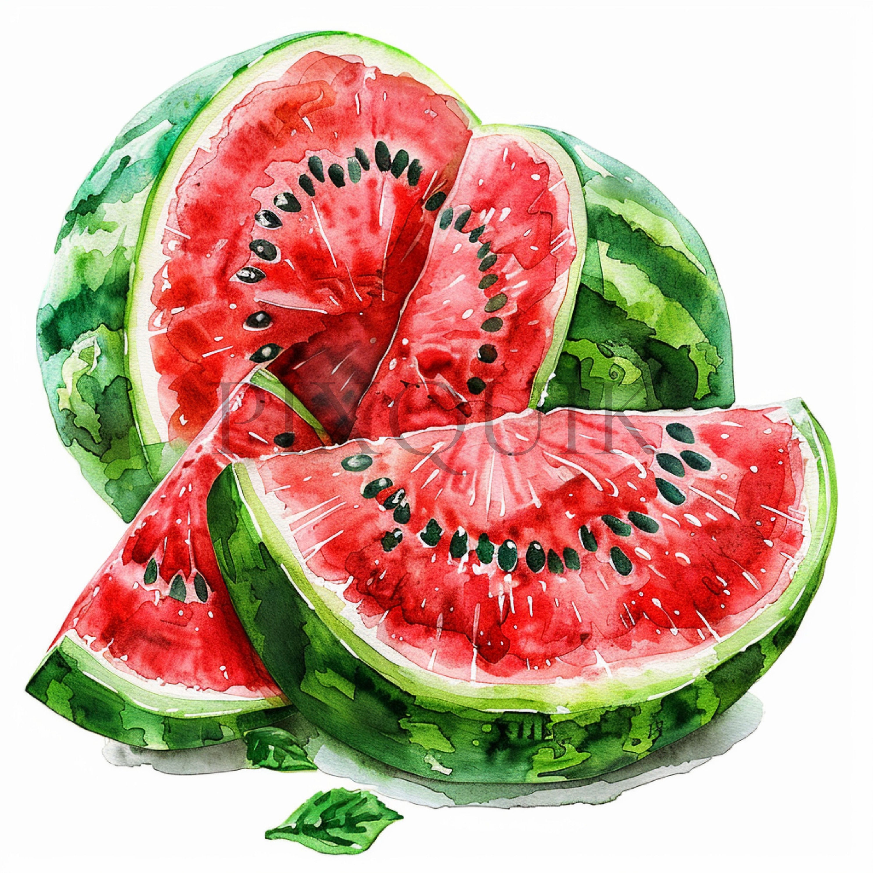 Watercolor Watermelon Clipart | Summer Fruit Jpgs (instant Download) - Etsy