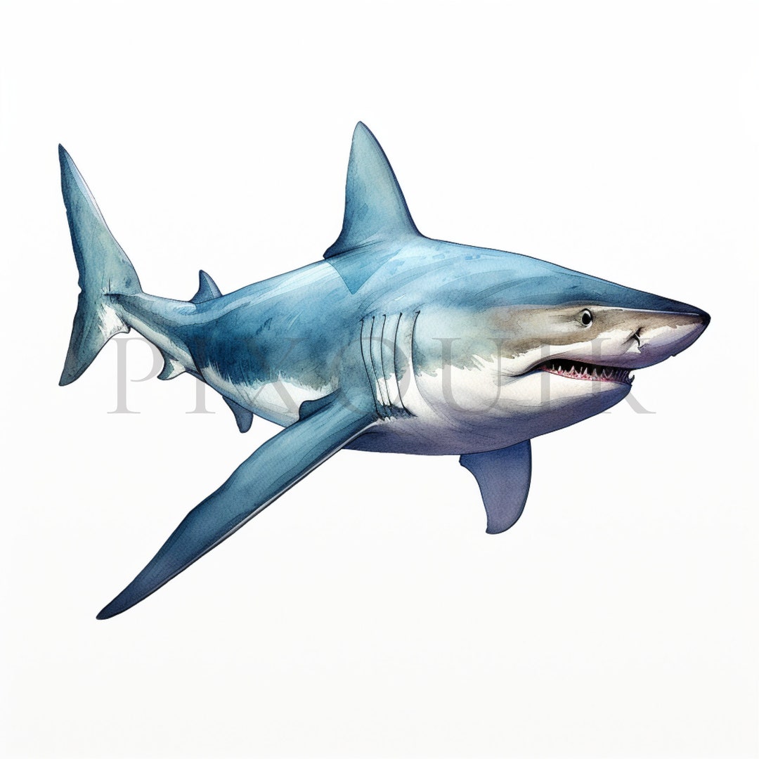 Shark Clipart - 10 High Quality Jpgs | Watercolor Shark Clipart | Whale ...