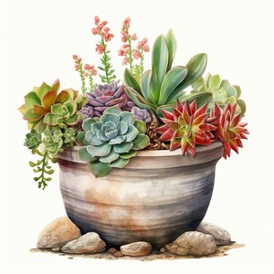 Garden Pot Clipart 10 High Quality Jpgs Potted Plant Art Botanical ...