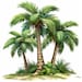 Palm Tree Clipart 10 High Quality Jpgs Coconut Trees Clipart Holiday ...