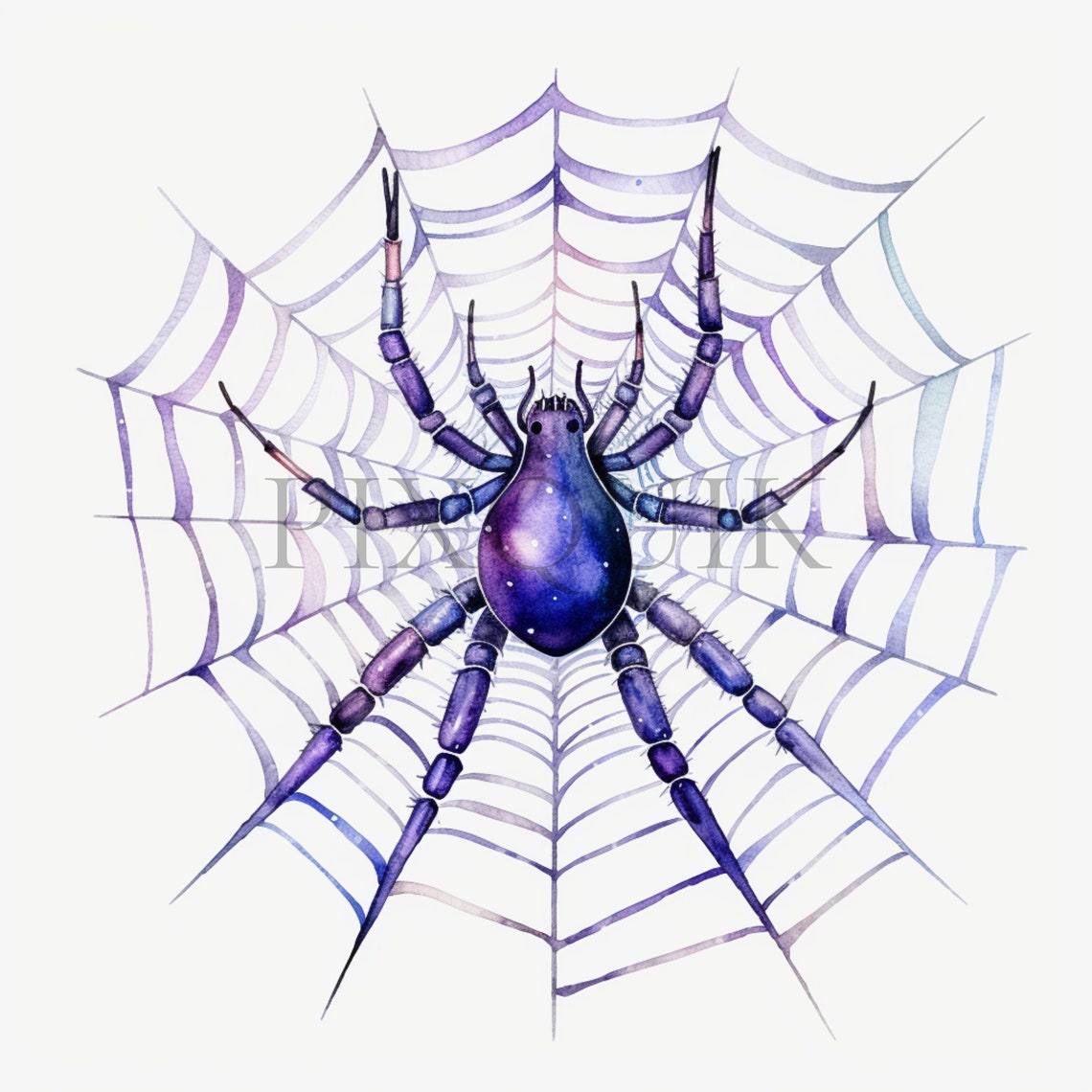 Watercolor Spiderweb Clipart 10 High Quality Jpgs Instant Digital ...