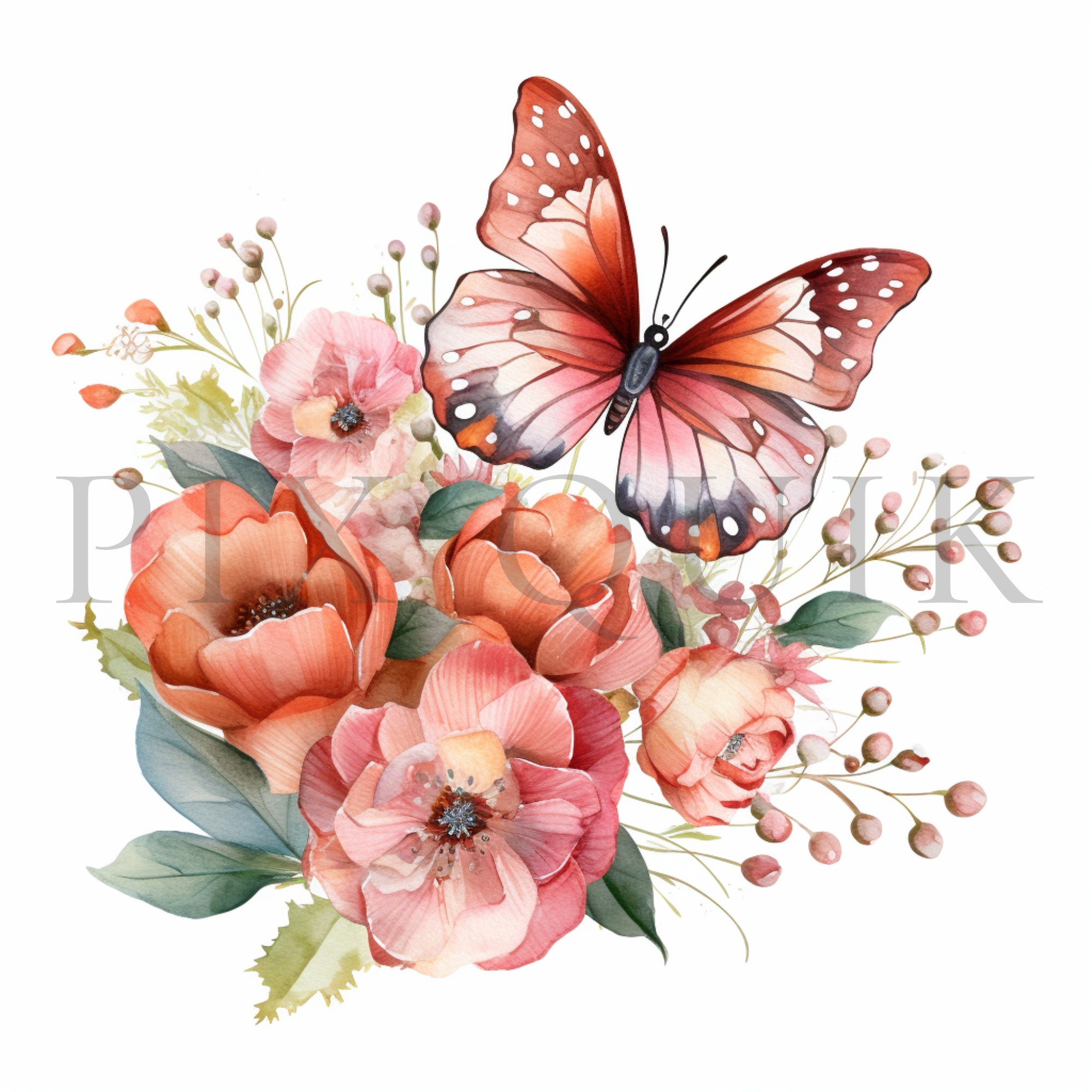 Floral Watercolor Butterfly Clipart 10 High Quality Jpgs Printable ...