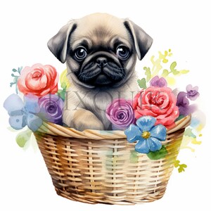 Pug Clipart | 10 High Quality Jpgs | Puppy Clipart | Cute Pug With ...