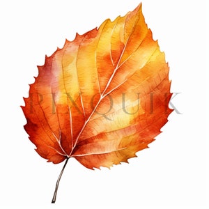 Autumn Leaf Clipart | 10 High Quality Jpgs | Digital Download | Fall ...