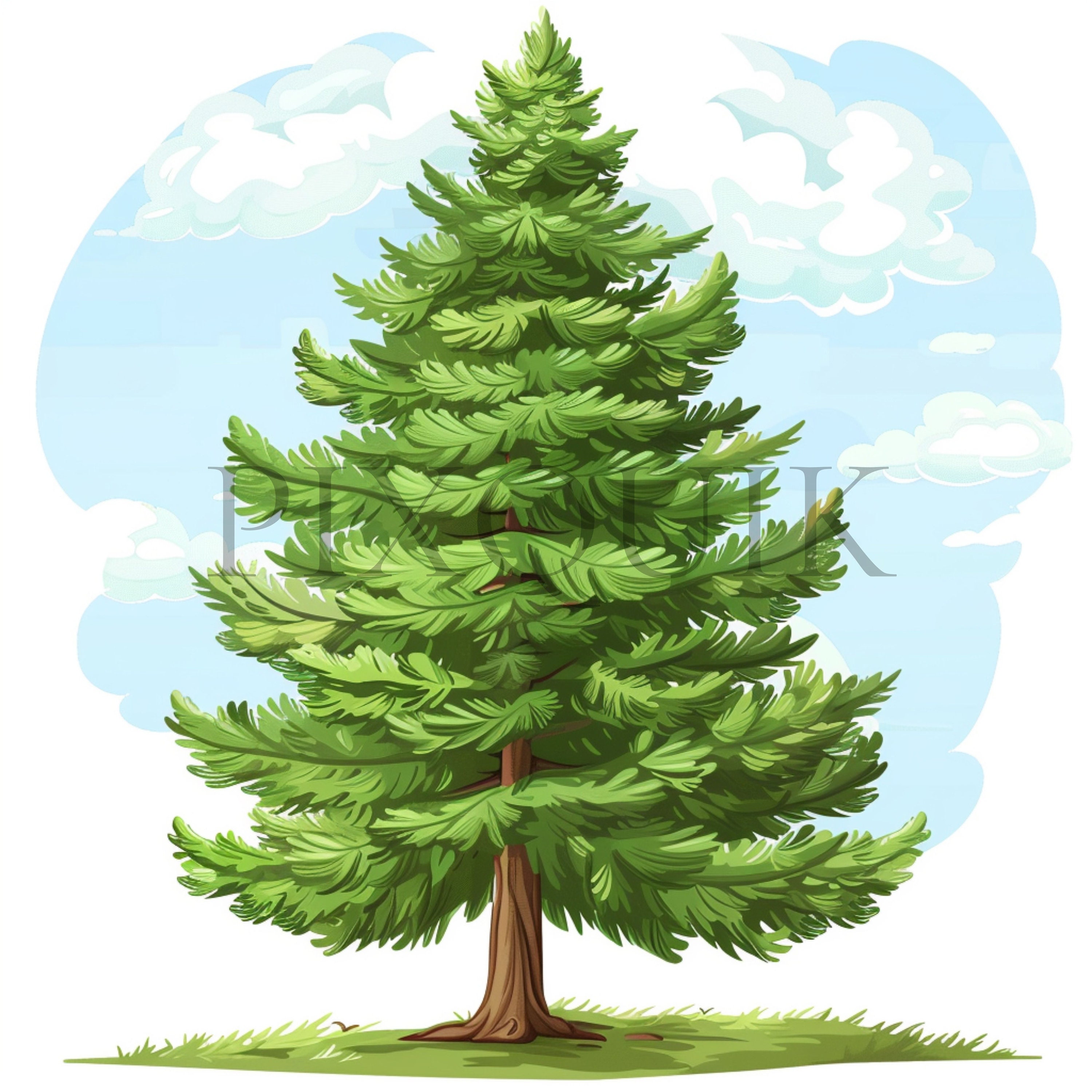 Hemlock Tree Clipart 10 High Quality Jpgs Beautiful Trees Digital ...