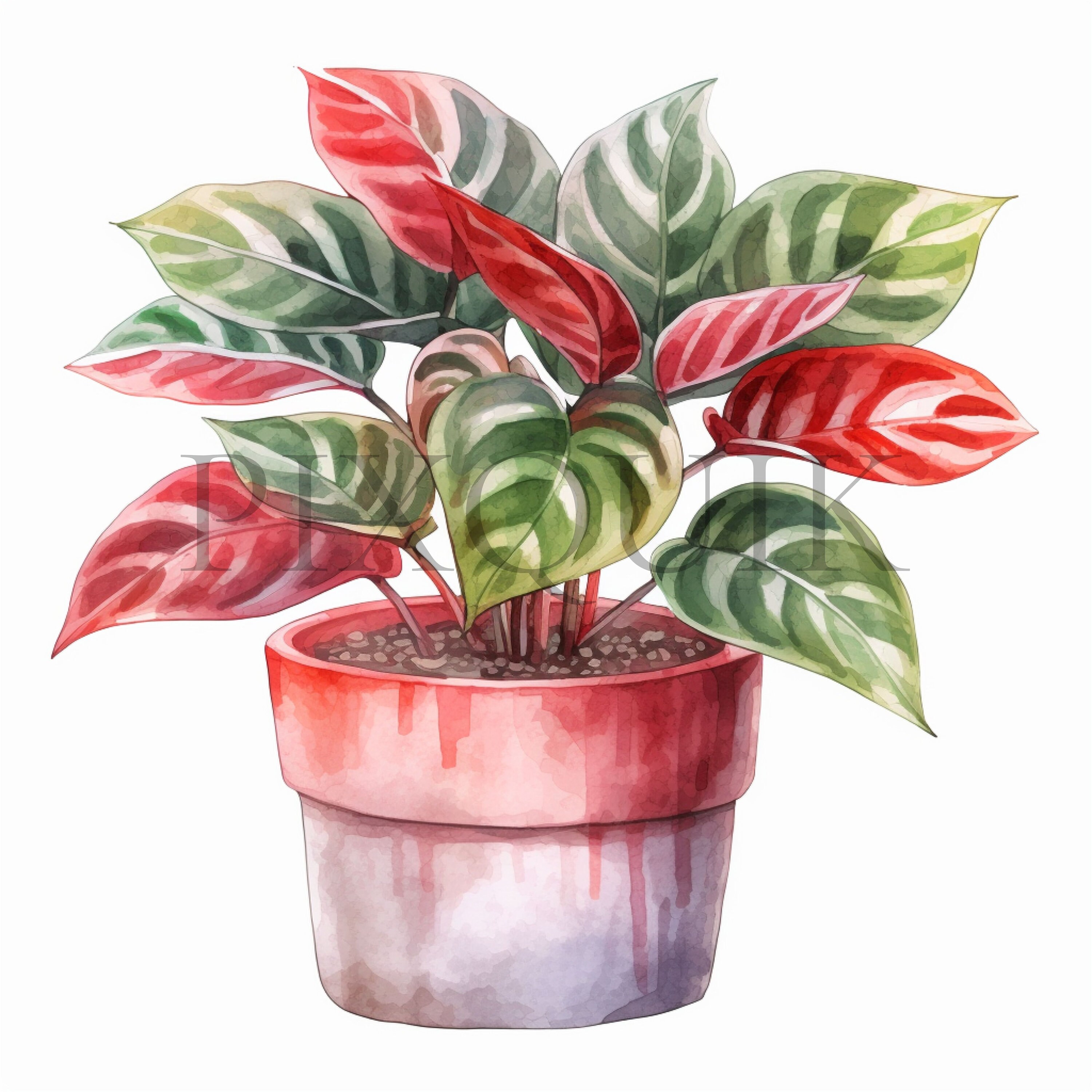 Potted Plant Clipart 10 High Quality Jpgs Indoor Plant Art Botanical ...