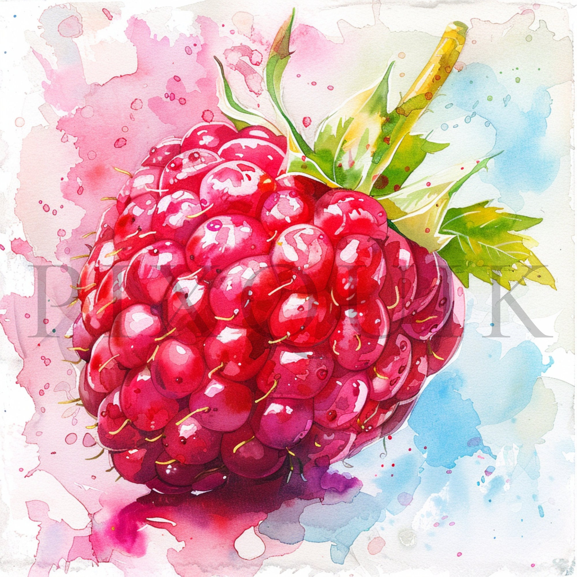 Watercolor Raspberry Clipart 11 High Quality Jpgs Instant Digital ...
