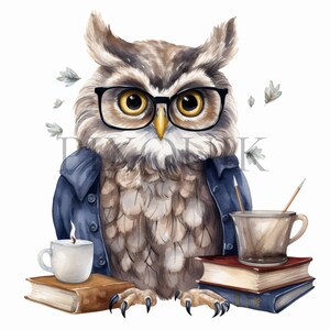 Watercolor Owl Clipart for Teachers | 10 High Quality Jpgs | Owl ...
