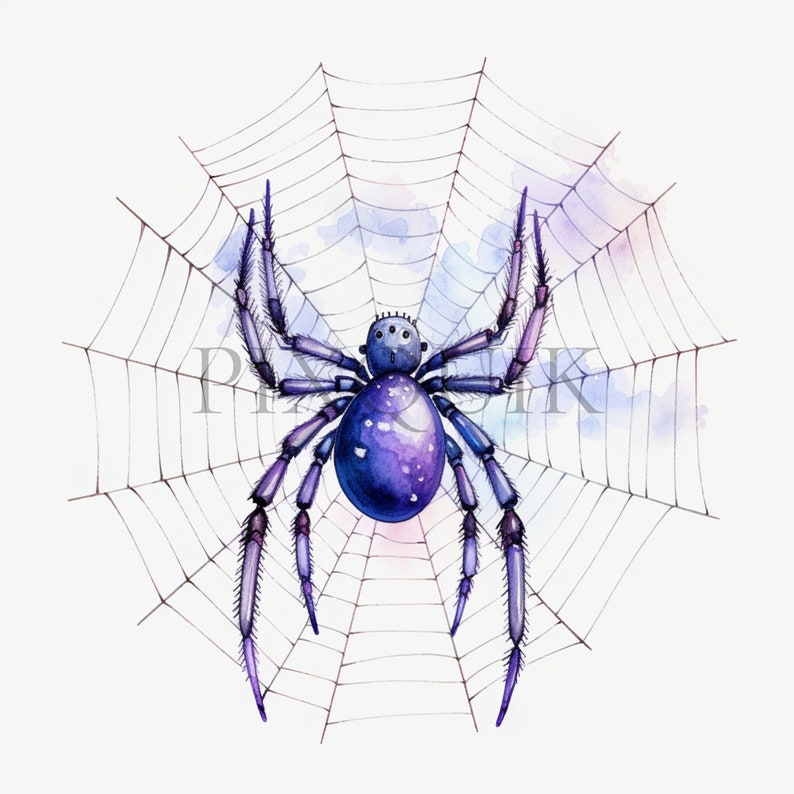 Watercolor Spiderweb Clipart | Halloween Graphics Bundle (digital ...