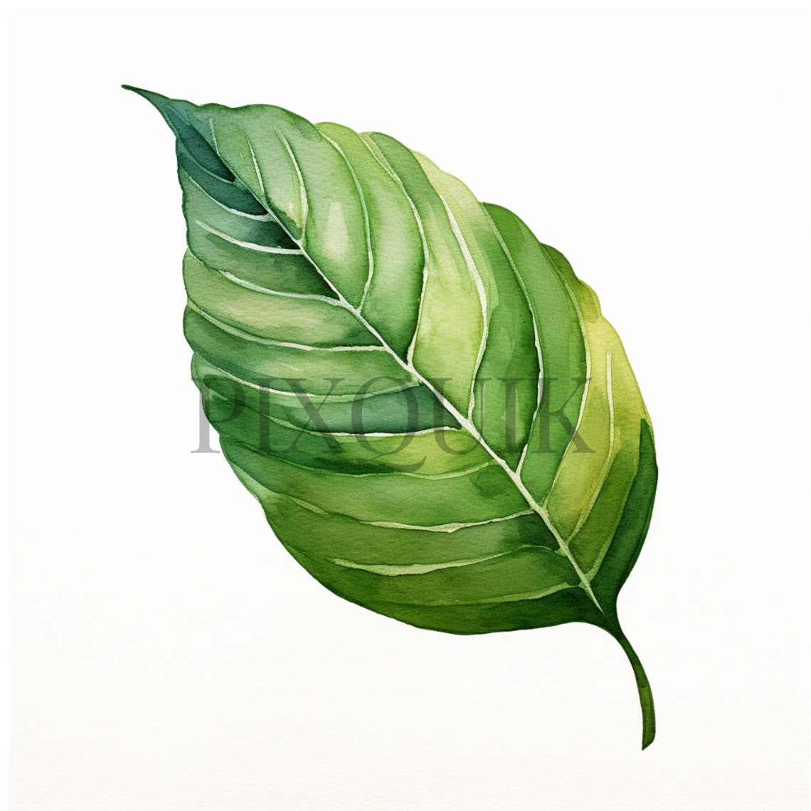 Watercolor Leaf Clipart | Hyper-realistic Botanical Art (digital ...