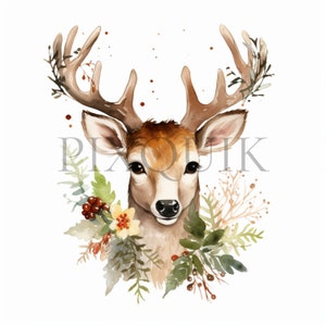 Watercolor Reindeer Clipart | Holiday Animals, Christmas Decor (digital ...