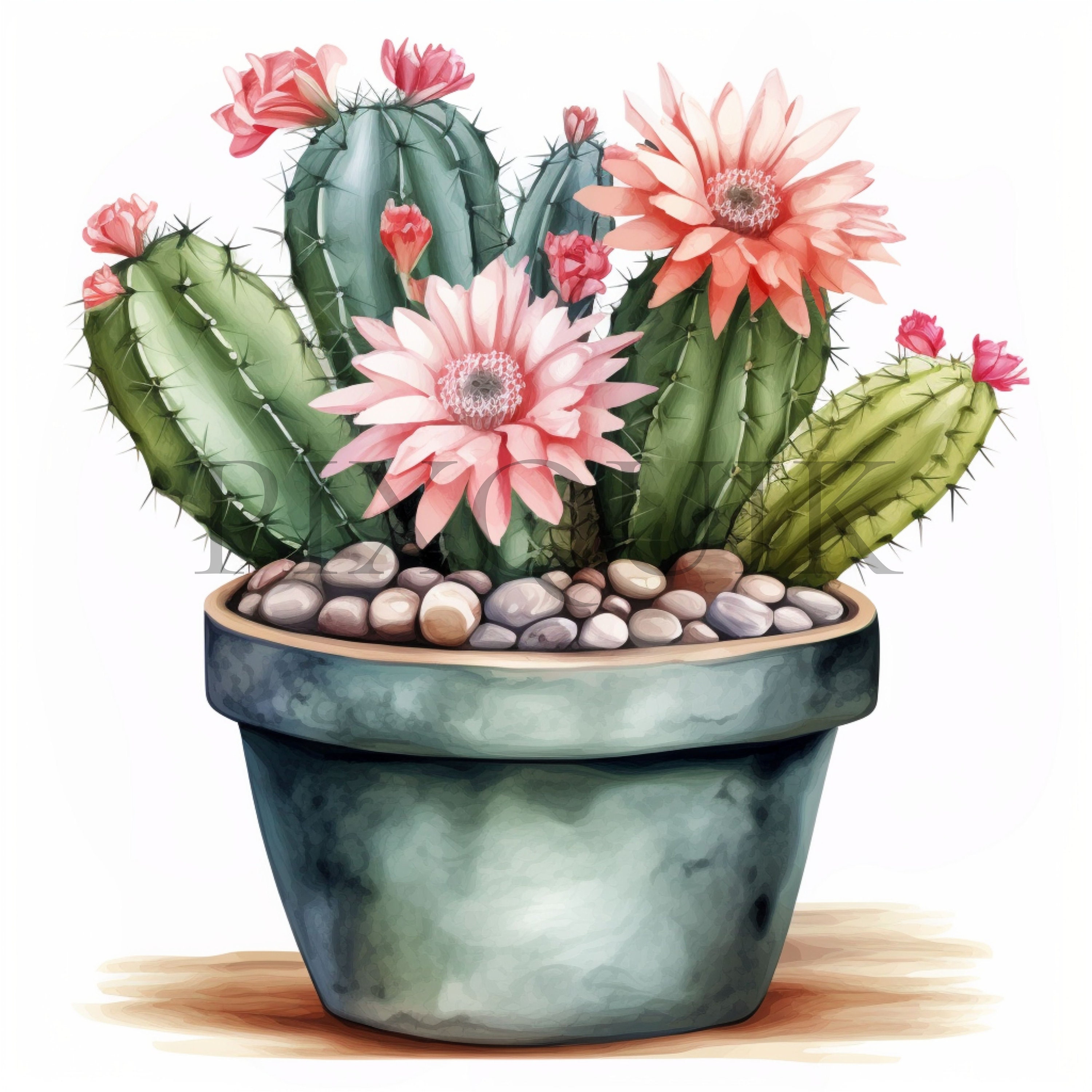 Cactus With Flowers Watercolor Clipart Set 10 High Quality Jpgs Floral ...