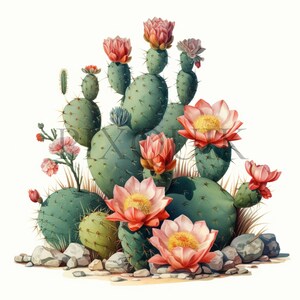Vintage Blooming Cactus Clipart | Retro Desert Art (10 Jpgs) - Etsy