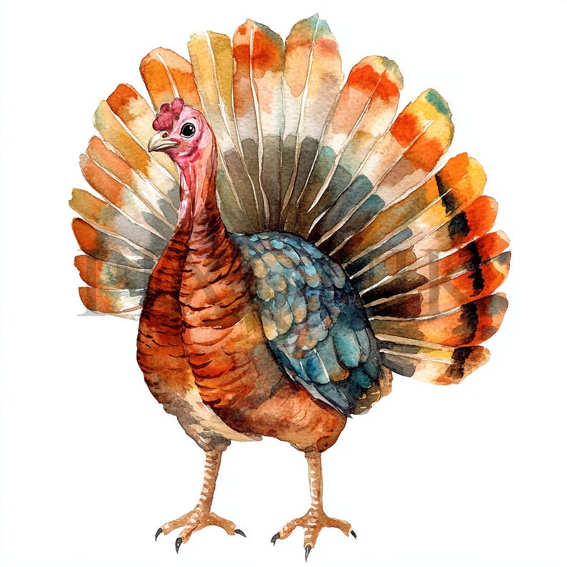 Autumn Turkey Clipart | 10 High Quality Jpg's | Thanksgiving Turkey ...