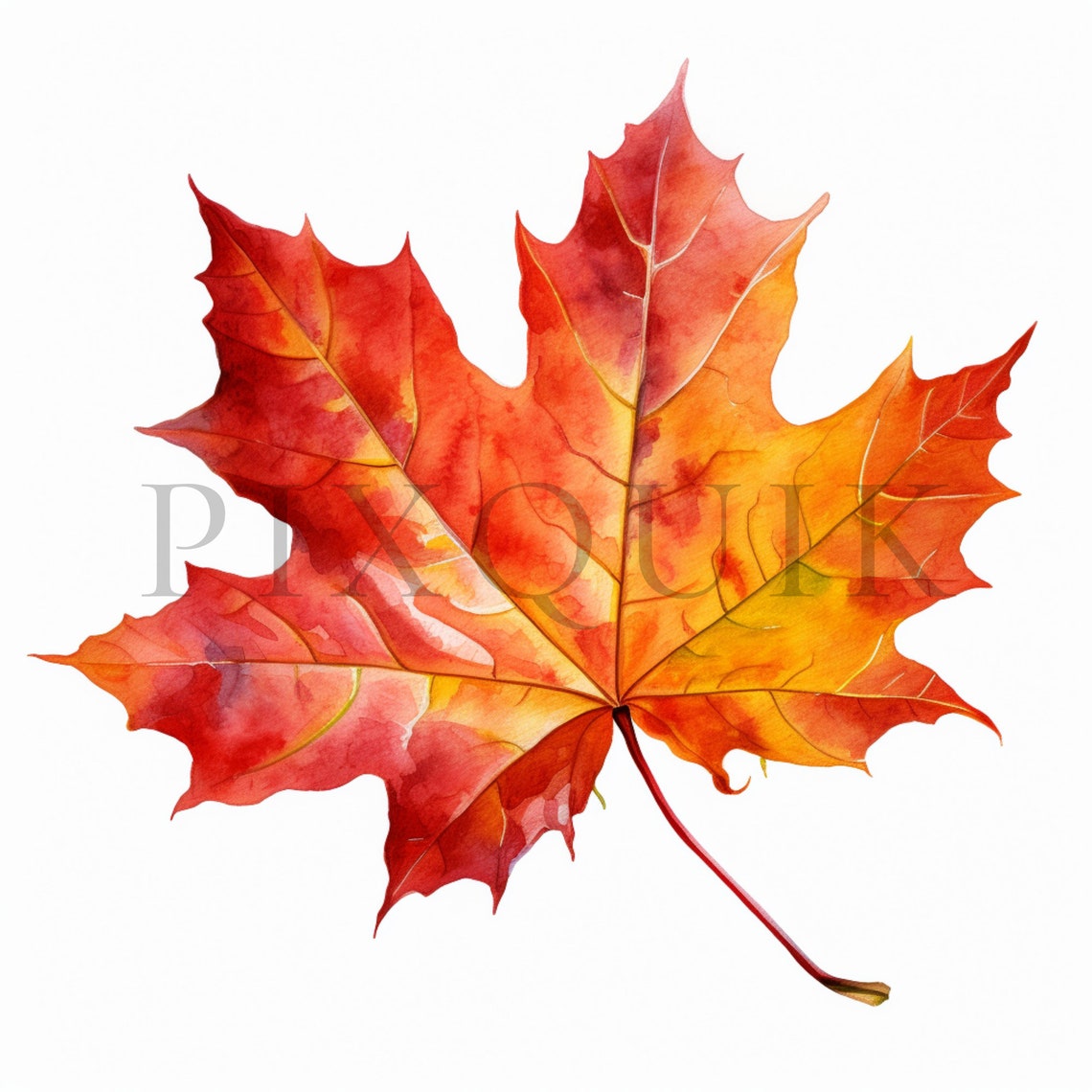 Autumn Maple Leaf Clipart | Fall Foliage Jpgs (digital Download) - Etsy