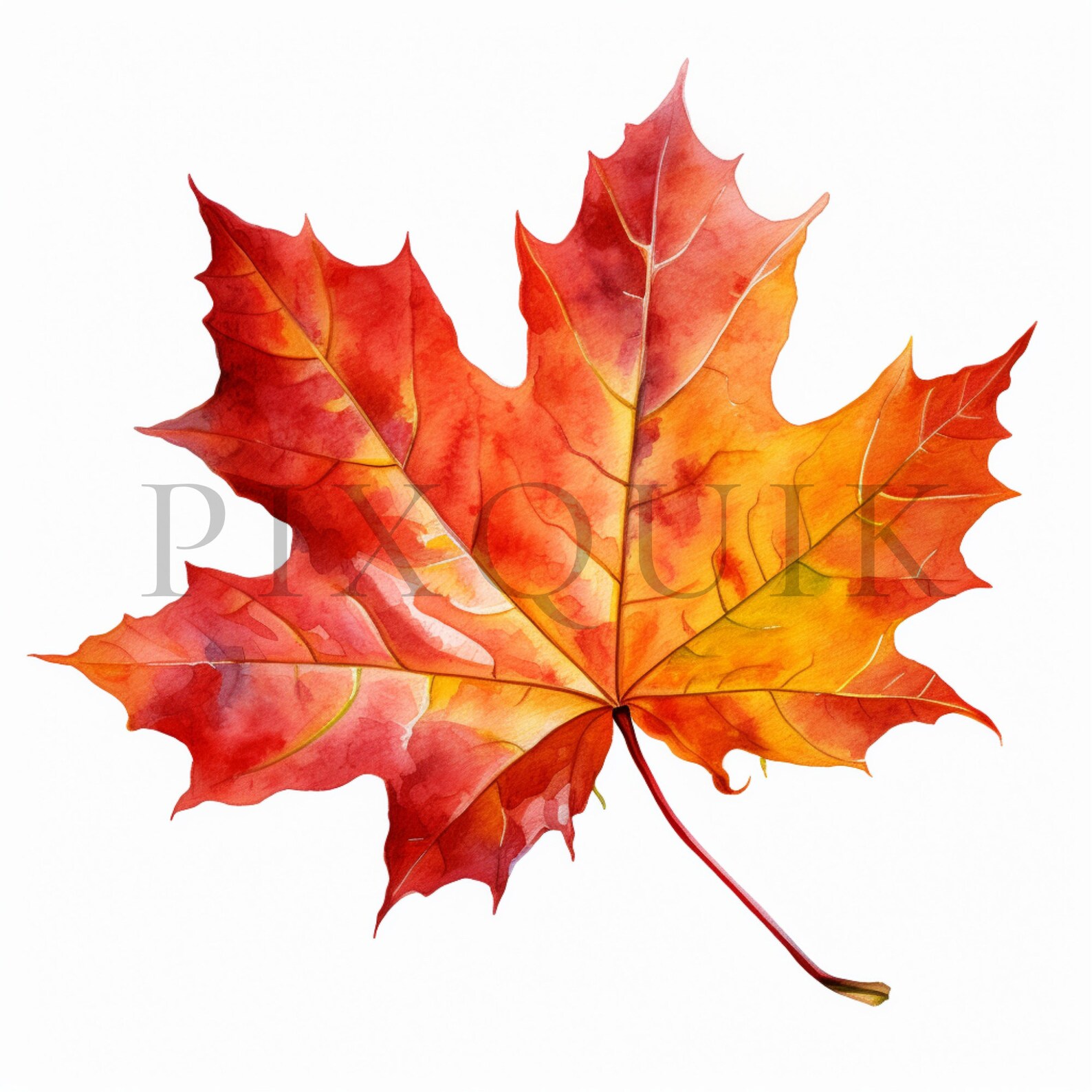 Autumn Maple Leaf Clipart | Fall Foliage Jpgs (digital Download) - Etsy