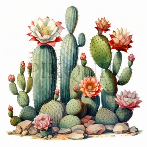 Vintage Blooming Cactus Clipart | 10 High Quality Jpgs | Retro Cactus ...