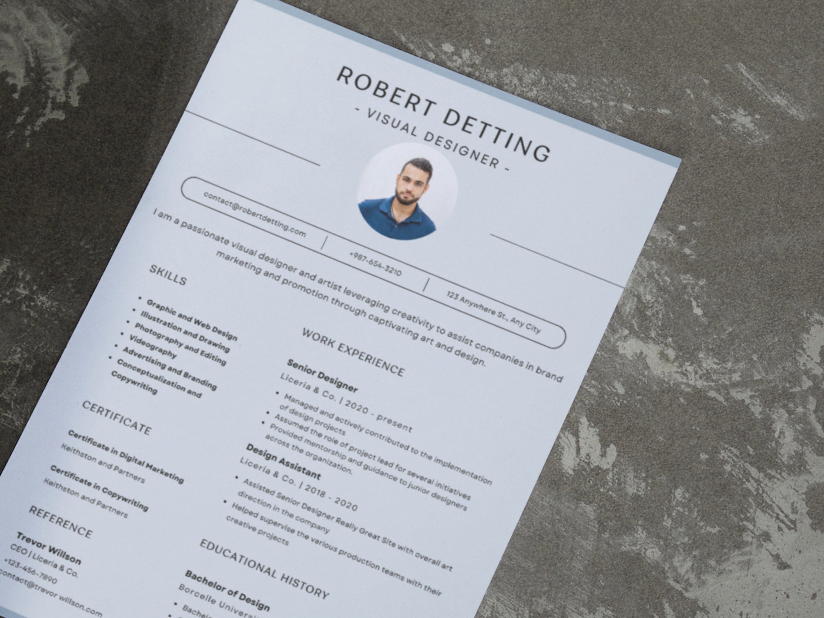 CV TEMPLATE Resume Canva. Professional Resume Template. - Etsy