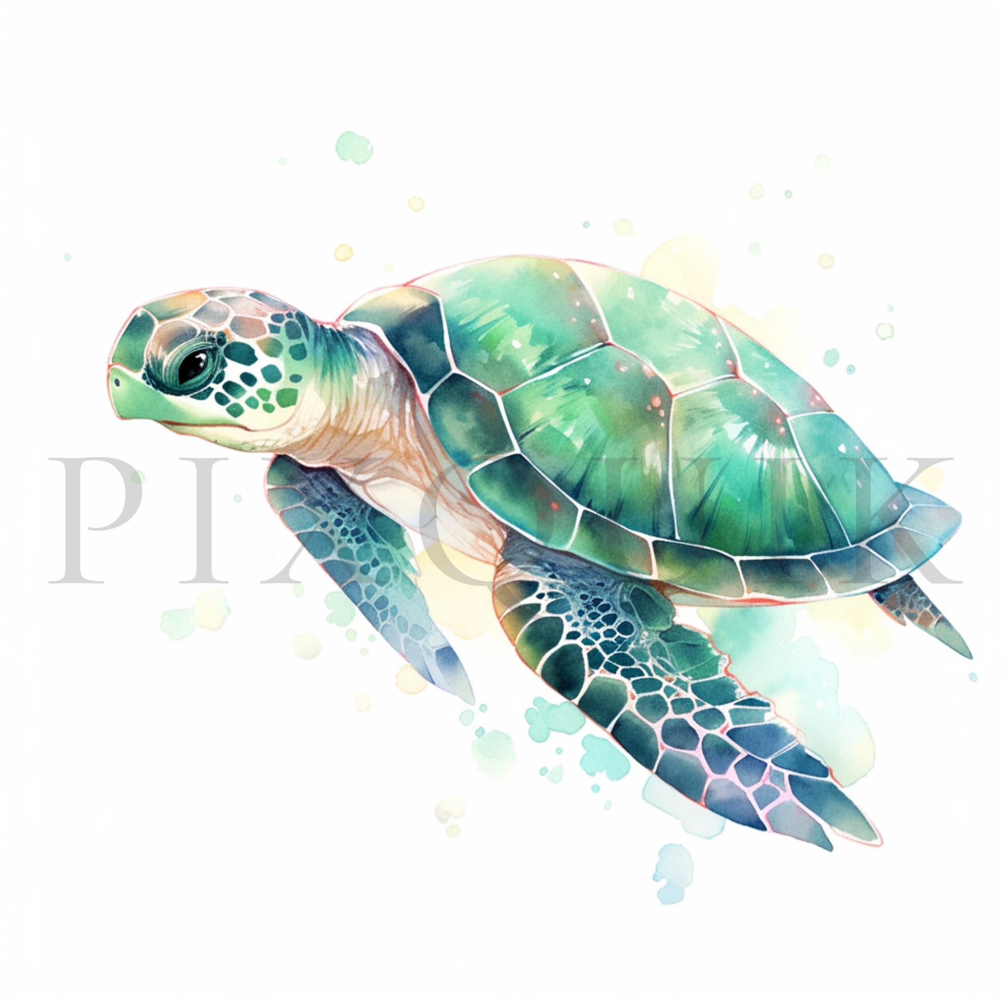 Turtle Clipart 10 High Quality Jpgs Turtle Watercolor Commercial Use ...
