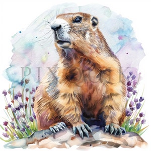 Groundhog Watercolor Clipart | Groundhog's Day JPG (digital Download ...