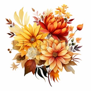 Autumn Floral Clipart | Fall Flowers, Botanical Art (digital Download ...