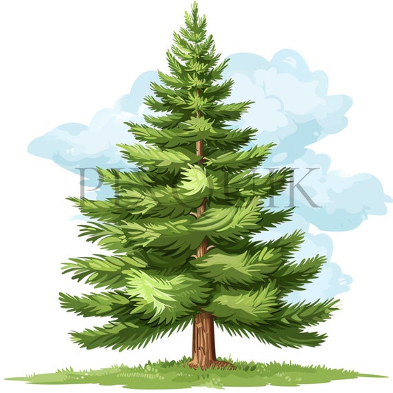 Hemlock Tree Drawing