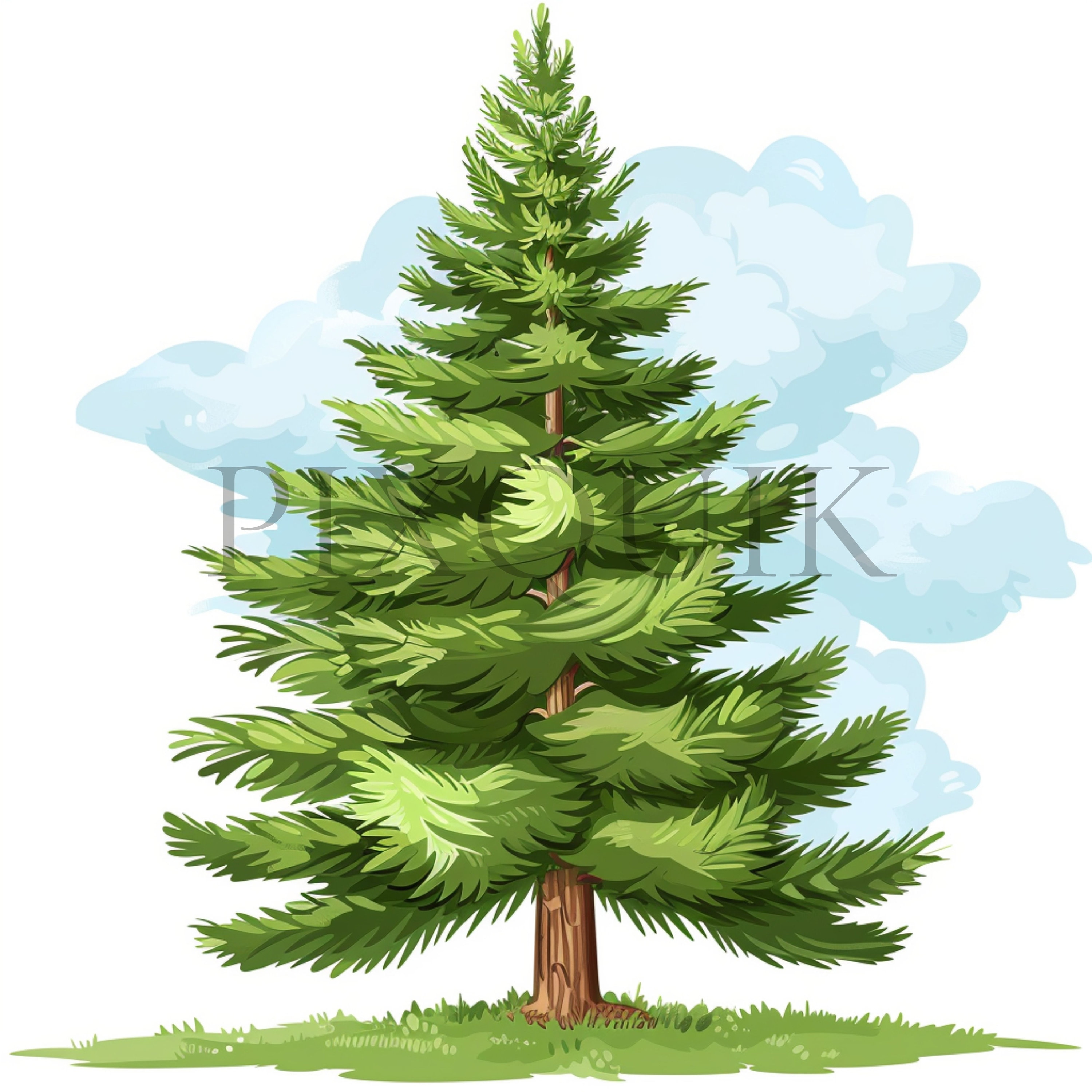 Hemlock Tree Clipart 10 High Quality Jpgs Beautiful Trees Digital ...