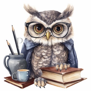 Watercolor Owl Clipart for Teachers | 10 Jpgs (digital Download) - Etsy