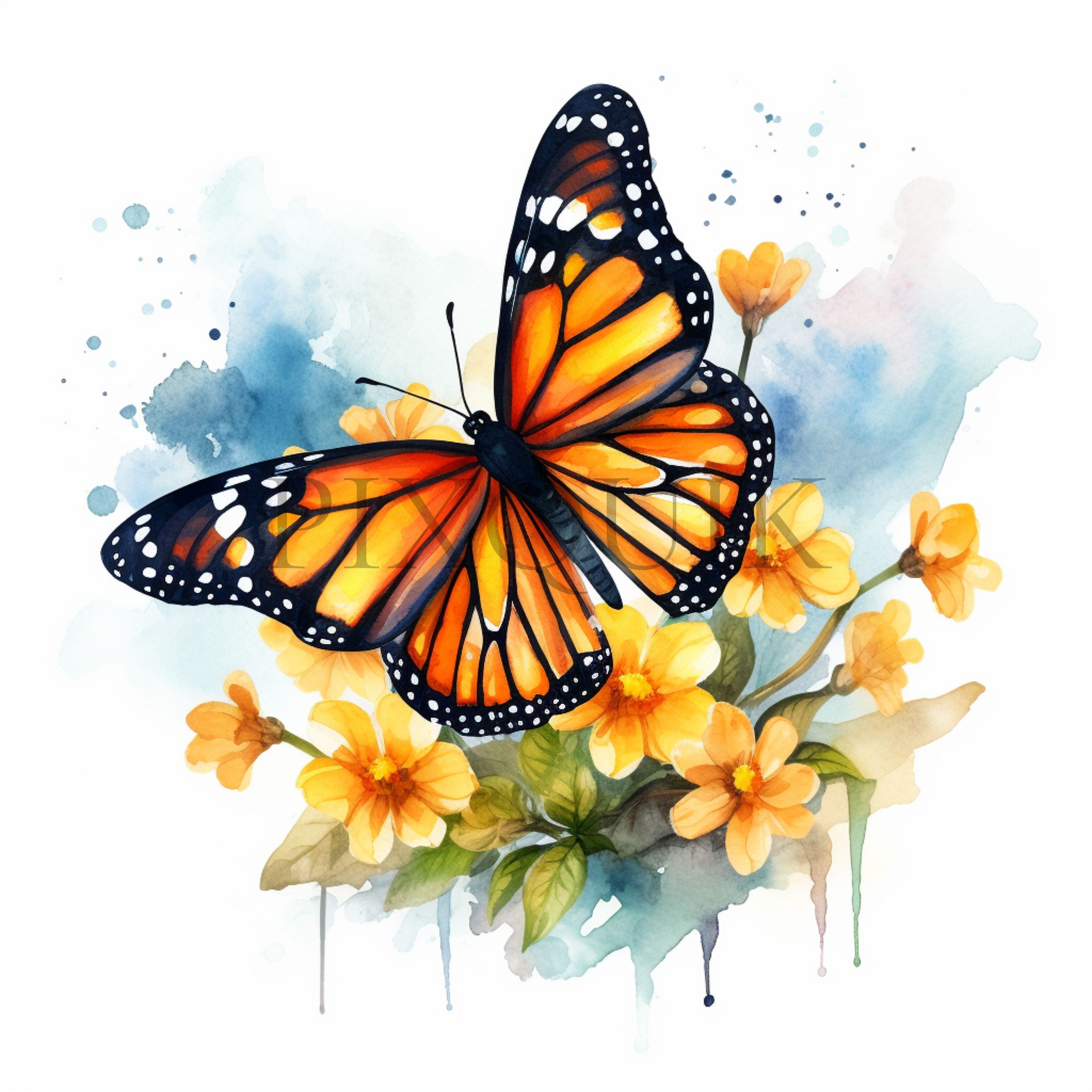 Watercolor Monarch Clipart 10 High Quality Jpgs Floral Monarch ...