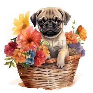 Pug Clipart | 10 High Quality Jpgs | Puppy Clipart | Cute Pug With ...