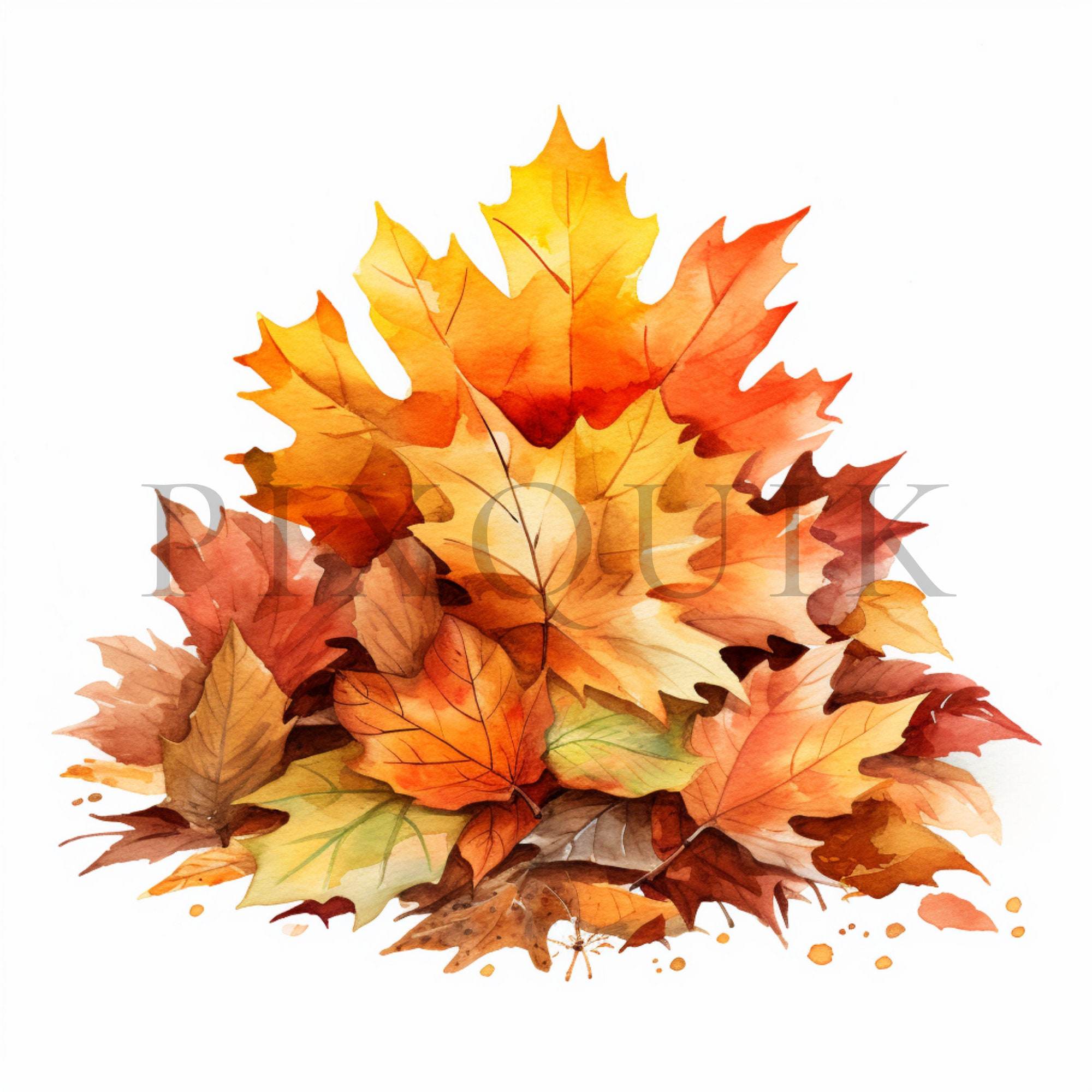 Watercolor Fall Leaf Heap Clipart 10 High Quality Jpgs Digital Download ...