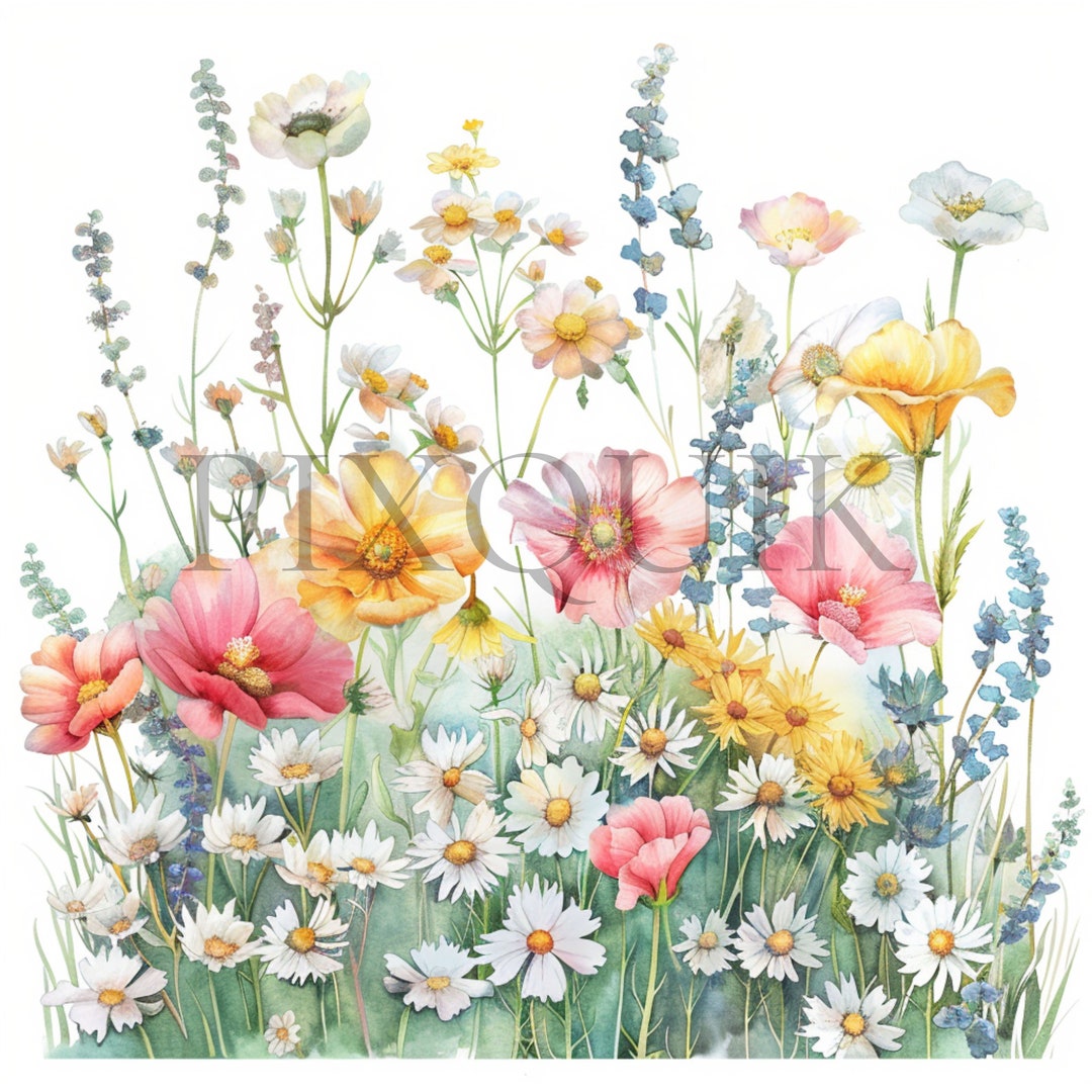 Garden Flower Clip Art | 10 High Quality Jpgs | Wild Flowers | Floral ...