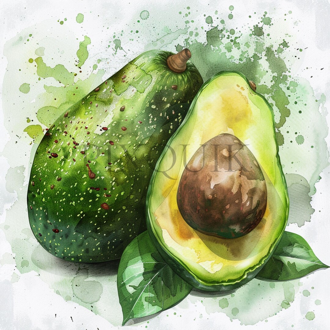 Watercolor Avocado Clipart | Splash Art, Nursery Decor (jpgs) - Etsy