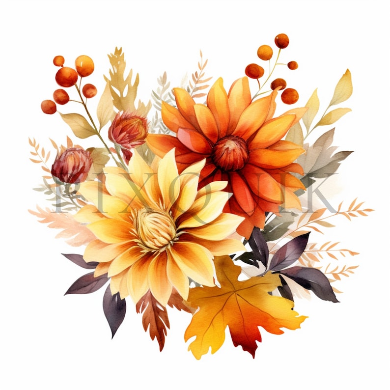 Autumn Flowers Clipart 10 High Quality Jpgs Digital Download Autumn ...