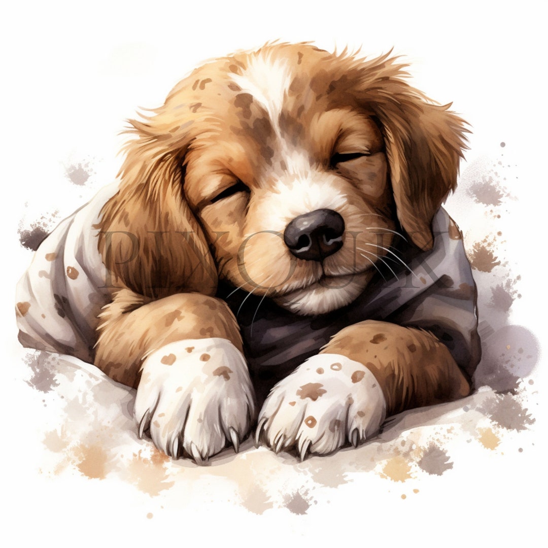Sleepy Dog Clipart | 10 High Quality Jpgs | Adorable Sleeping Dog ...