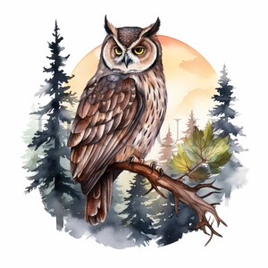 Owl Clipart Set | Woodland Animal Jpgs (digital Download) - Etsy