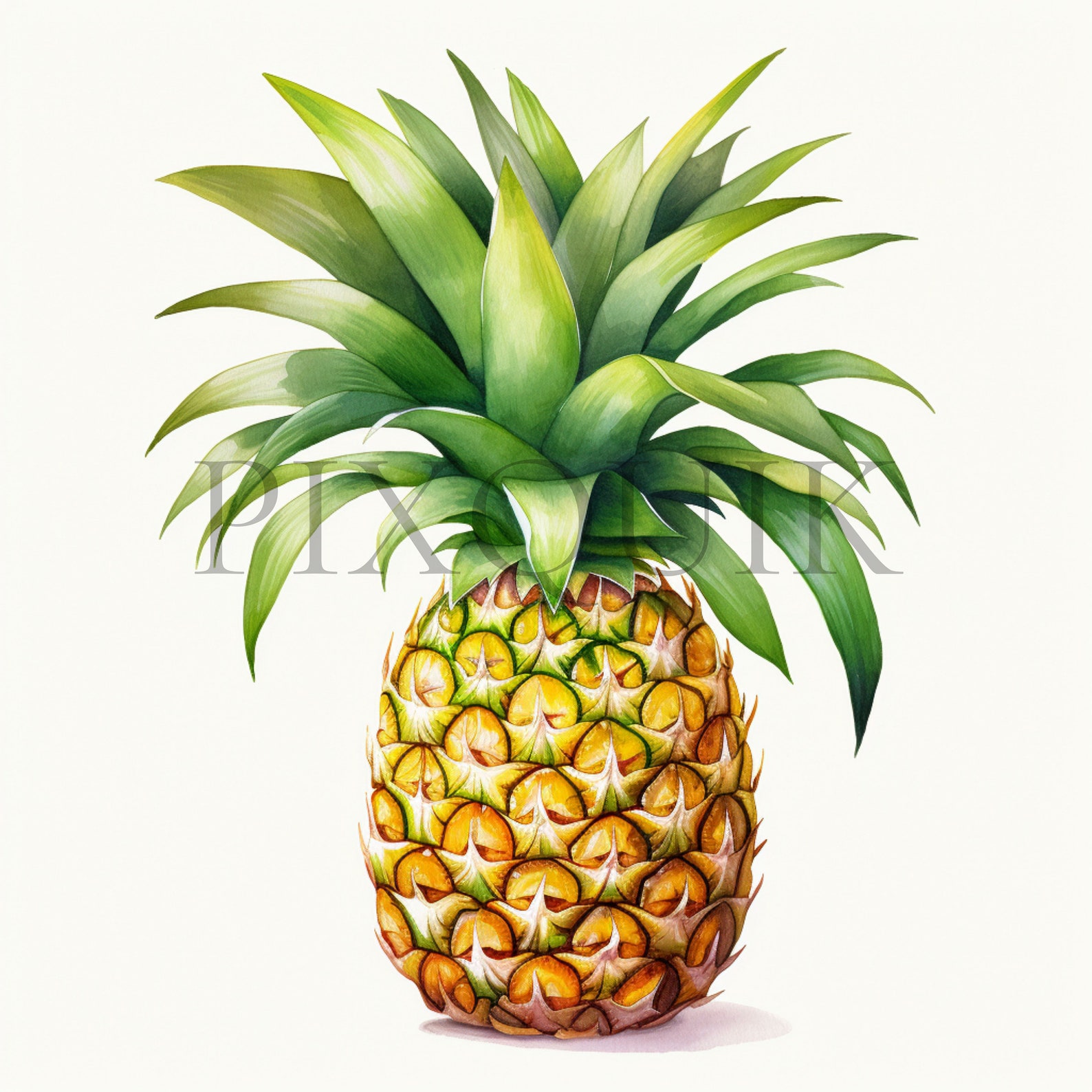 Watercolor Pineapple Clipart 10 High Quality Jpgs Fruit Clipart ...