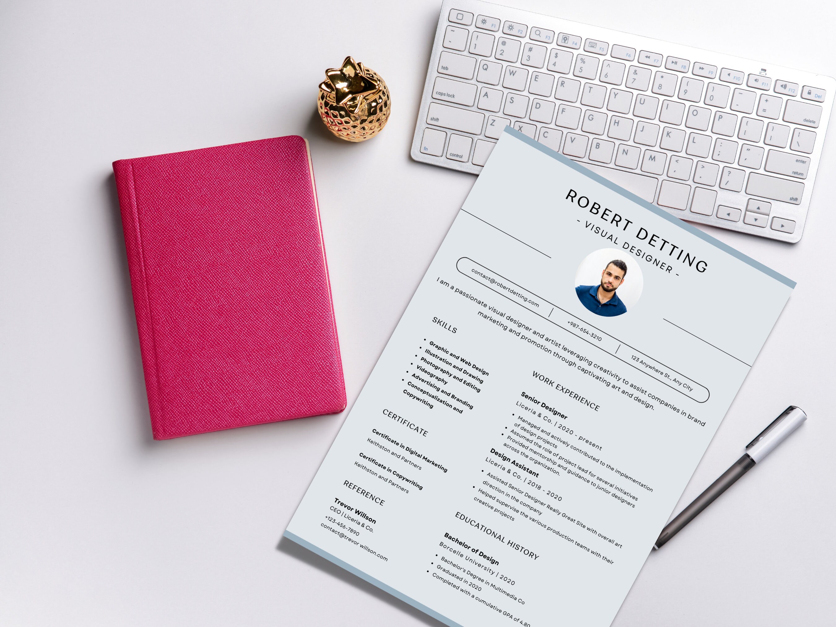 CV TEMPLATE Resume Canva. Professional Resume Template. - Etsy