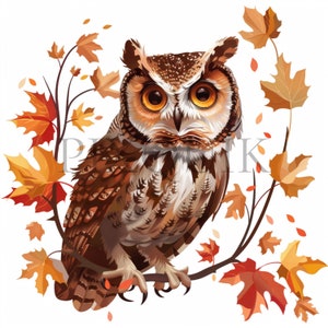 Owl Clipart | Fall | 10 High Quality JPG | Autumn | Bird Clipart ...