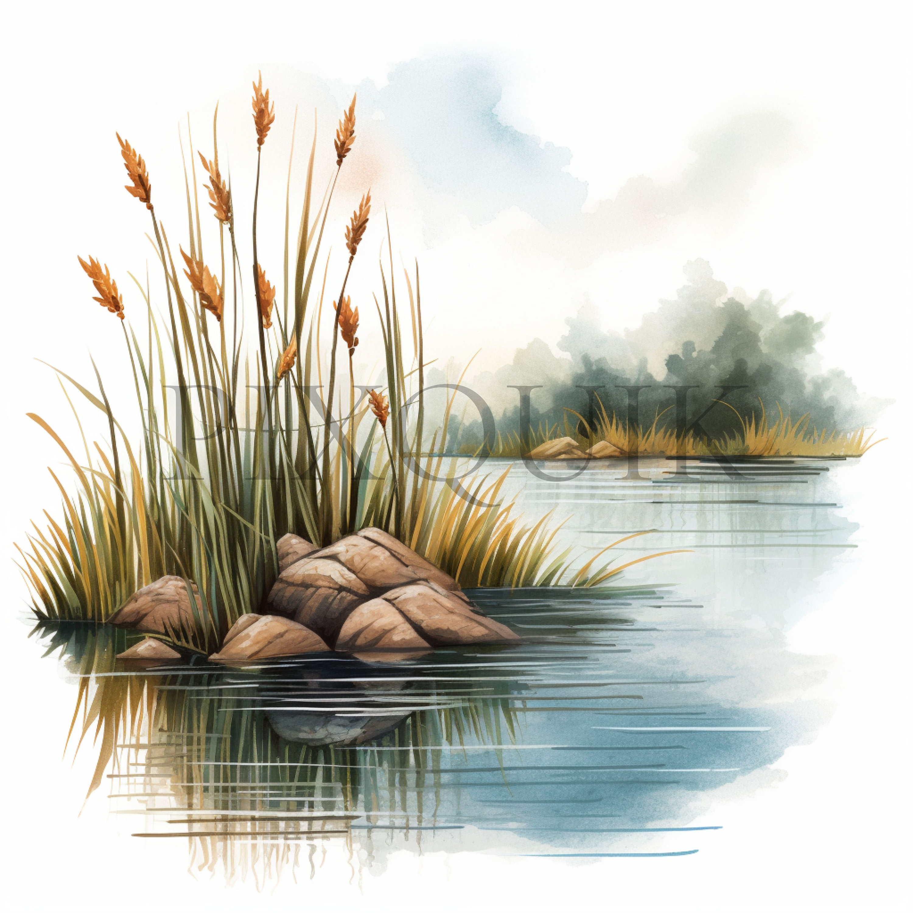 Cattails and Reeds in Water Pond Clipart 10 High Quality JPG commercial ...