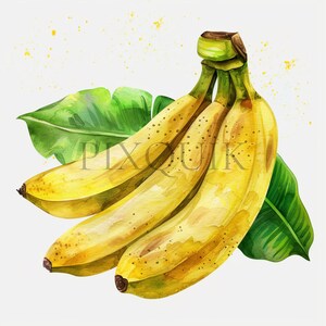 Watercolor Banana Clipart | 10 High Quality Jpgs | Banana Illustration ...
