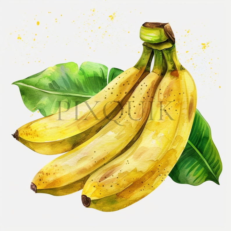Watercolor Banana Clipart | Tropical Fruit Illustration (commercial Use ...