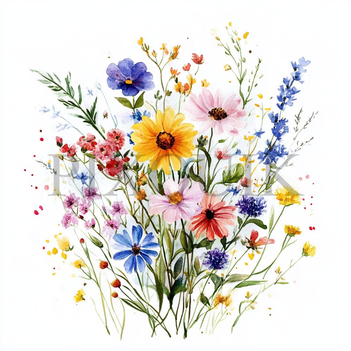 Watercolor Summer Wildflower Clipart | JPG & PNG Files (digital ...