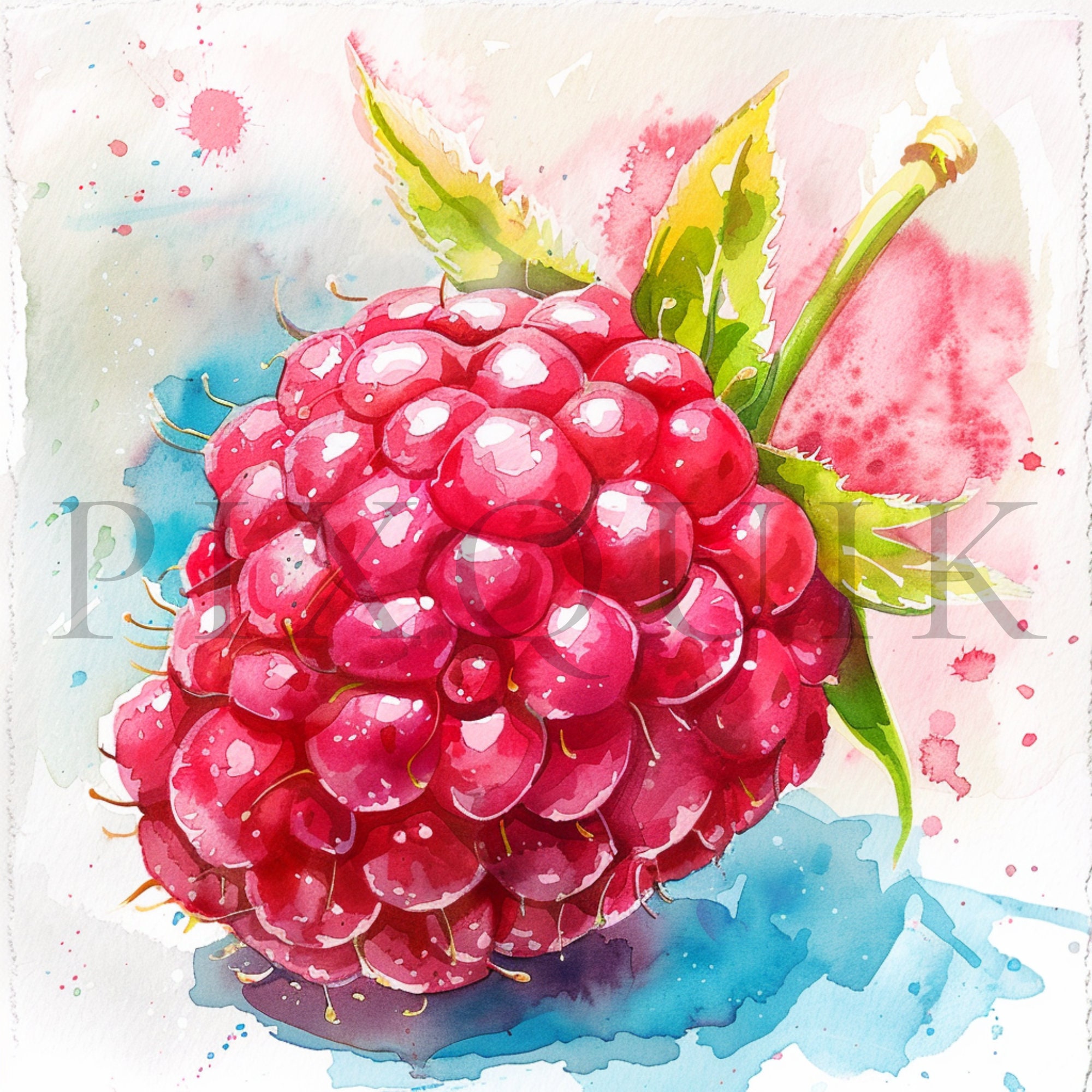 Watercolor Raspberry Clipart 11 High Quality Jpgs Instant Digital ...
