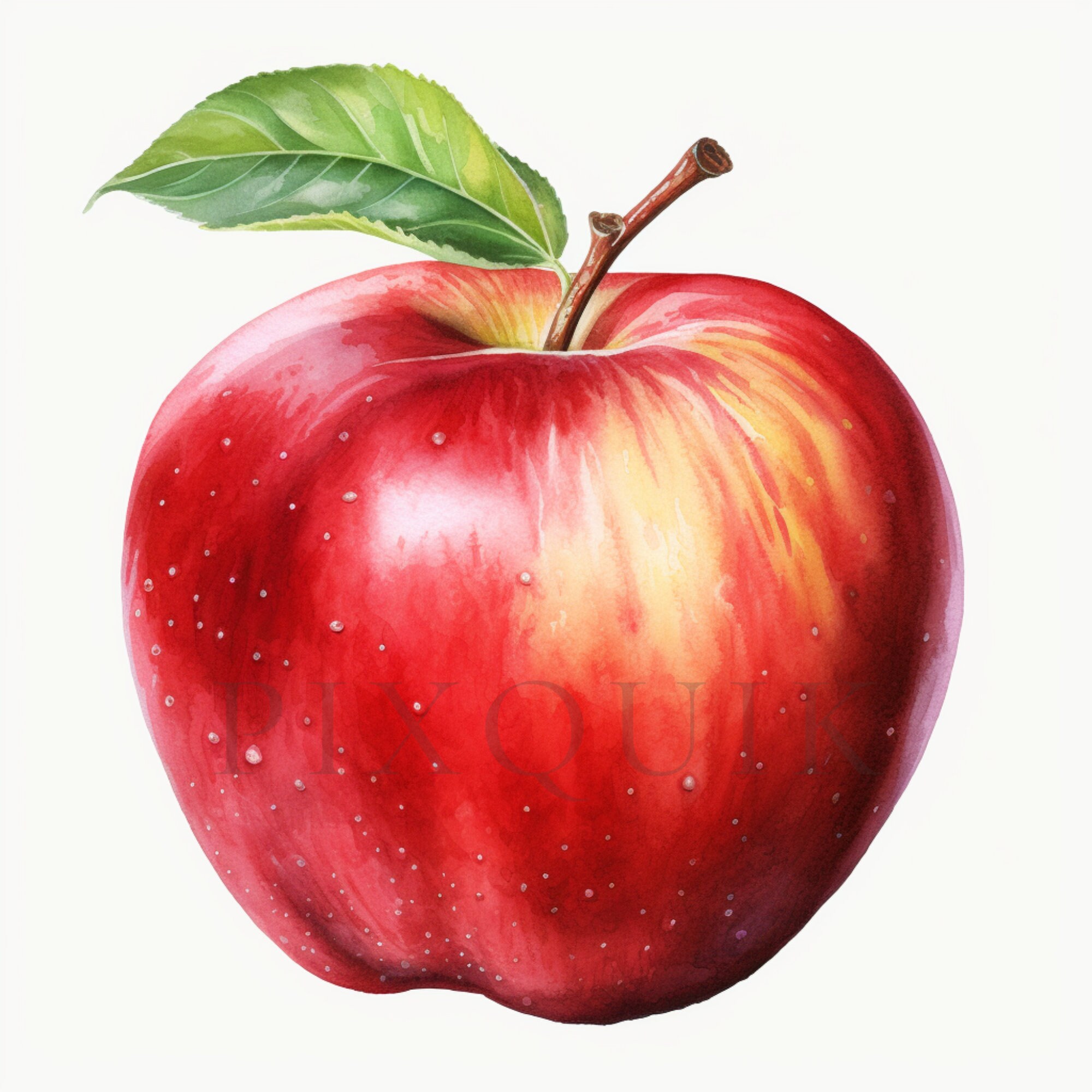 Apple Clipart 10 High Quality Jpgs Digital Download Apple Watercolor ...